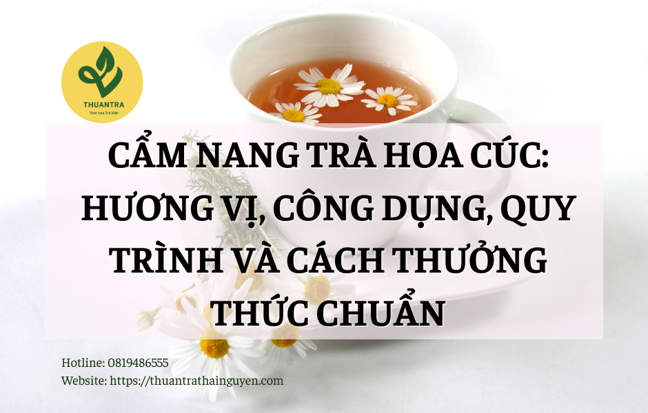 Cẩm Nang Trà Hoa Cúc – TRAVINA - Hợp tác xã Tâm Trà Việt