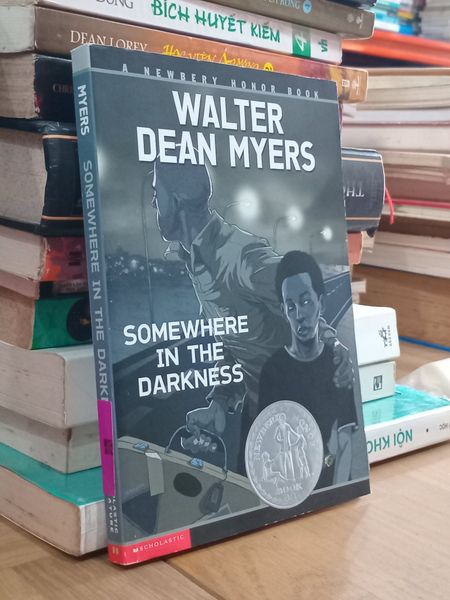 Somewhere in the darkness - Walter Dean Myers – Momo Bookstore