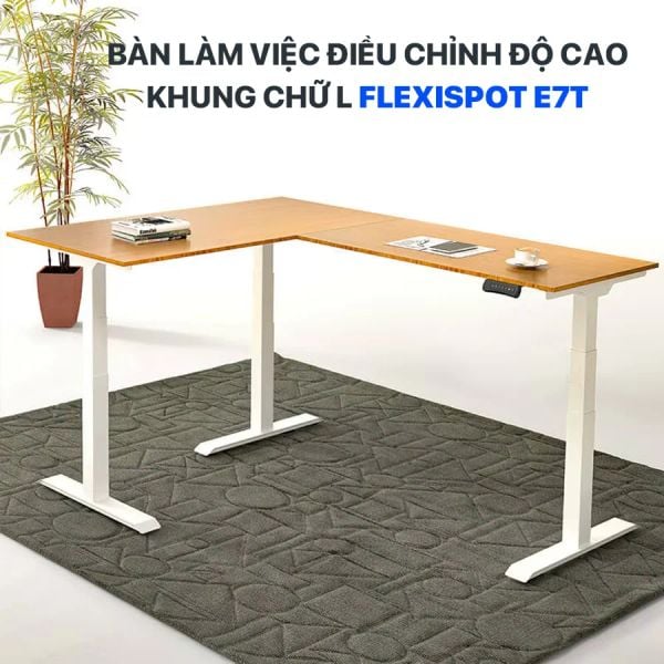 Bàn nâng hạ Ergonomic Flexispot E7T