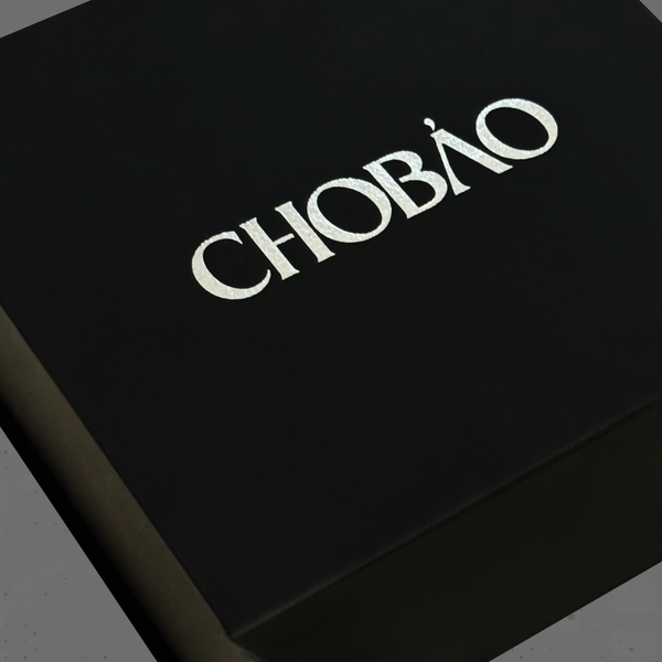 USB BOXSET - B RAY "CHO BẢO" THE ALBUM – Bandina Vzone