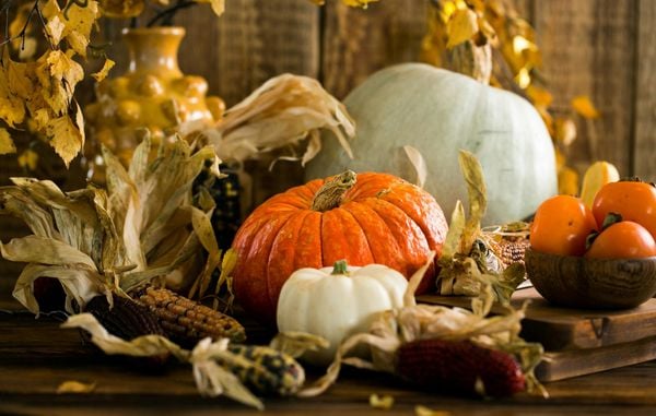 KHÁM PHÁ LỄ TẠ ƠN 2025: NGÀY NÀO, ĂN GÌ VÀ LÀM GÌ? – Party Vui