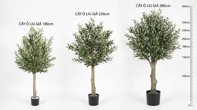Cây Ô Liu Giả 180cm, 230cm, 280cm Nên Chọn Size Nào?– Nhà Xinh Mỗi Ngày