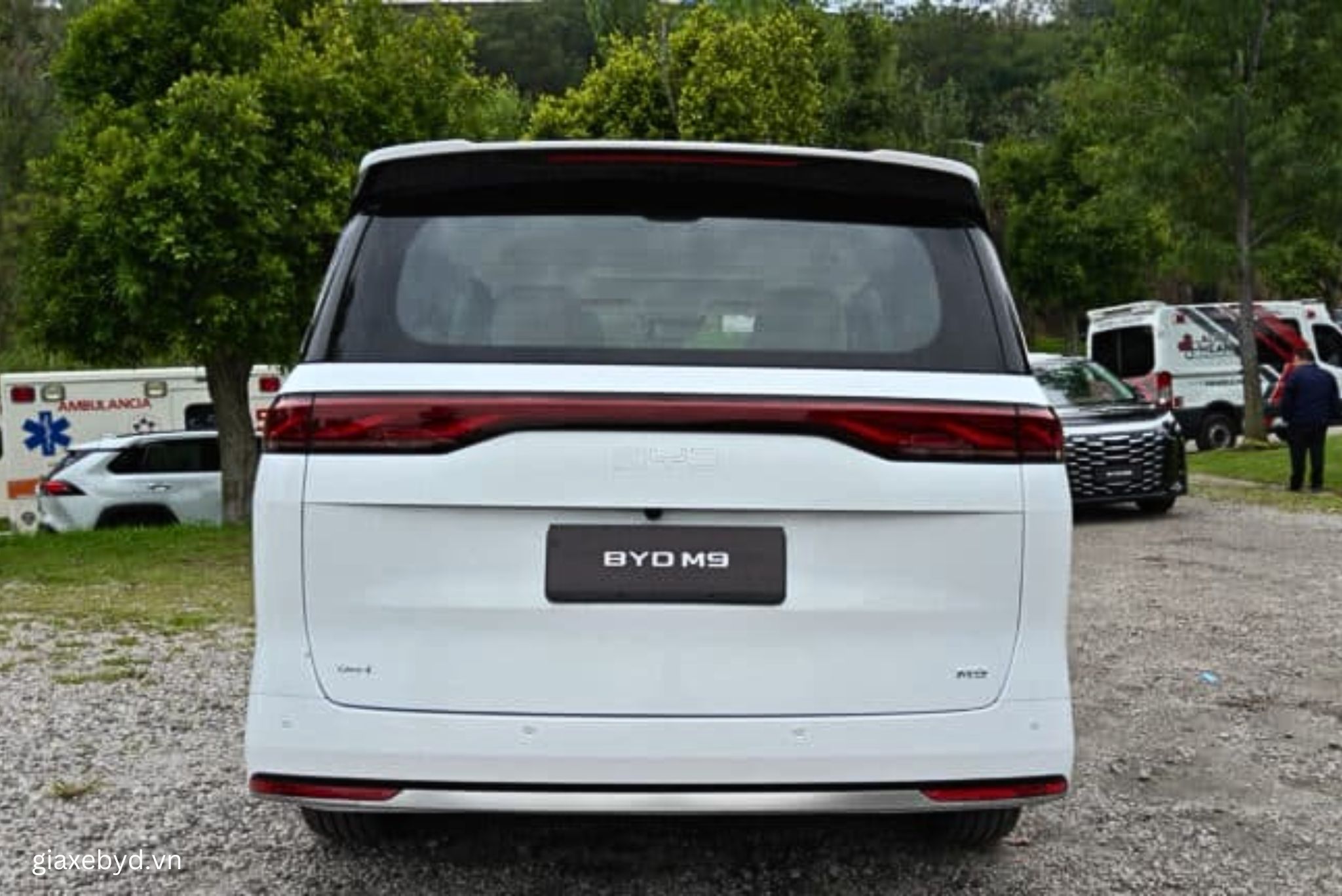 BYD M9 PHEV - Đánh Giá Chung, Thông Số, Giá Lăn Bánh Mới Nhất 9/2025 ...