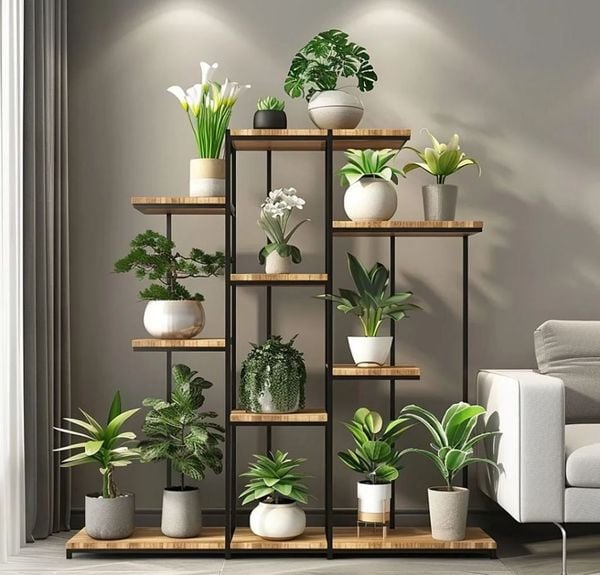 Why is Choosing the Right Plant Pot So Important? – Aurora Pots