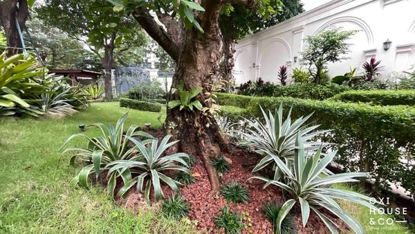 [CASE STUDY] KẾ HOẠCH BẢO DƯỠNG SÂN VƯỜN BIỆT THỰ CỔ ĐIỂN CHÂU ÂU – Oxi ...