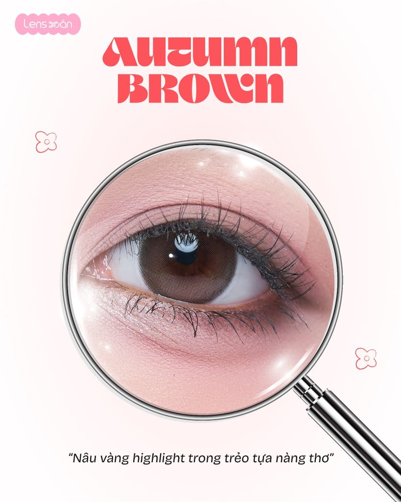 Autumn Brown - Lens Nâu Vàng Highlight Trong Trẻo | Lens Xoắn