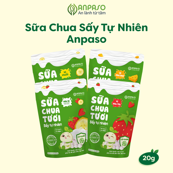 Sữa chua sấy Anpaso