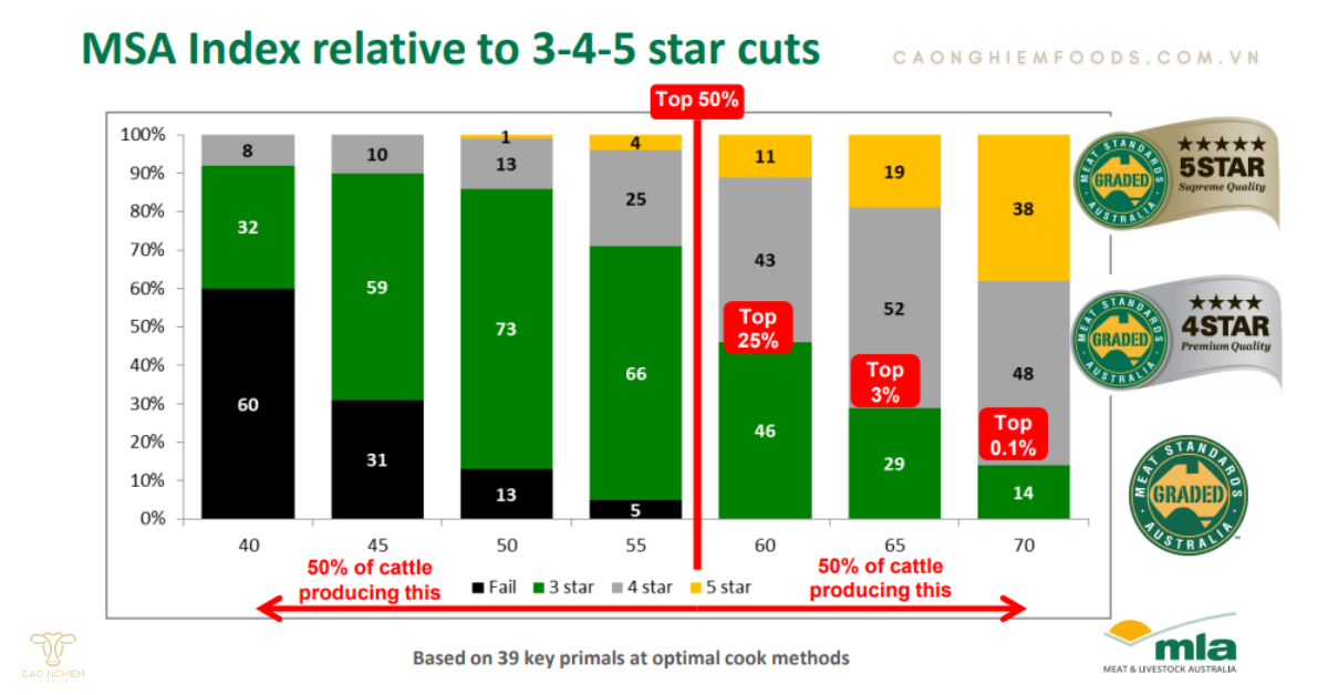 Tiêu chuẩn MSA là gì? Tìm hiểu chi tiết – Cao Nghiêm Foods