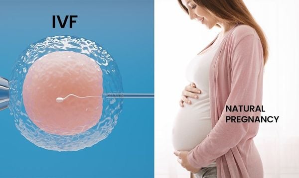 10+ điểm khác biệt giữa thai IVF và thai tự nhiên ivfholymothers