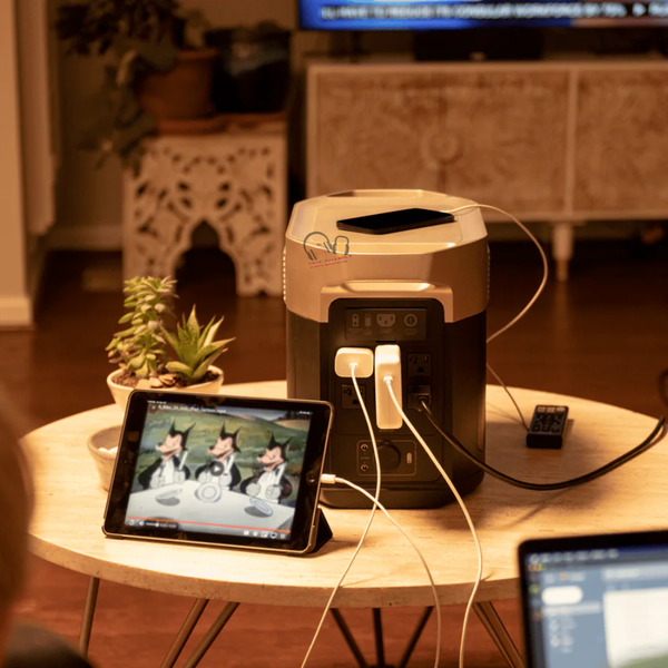 EcoFlow E2000 Trạm Điện Sạc Đầy Siêu Nhanh Tiện Lợi Cho Buổi Dã Ngoại – Vua2hand Store