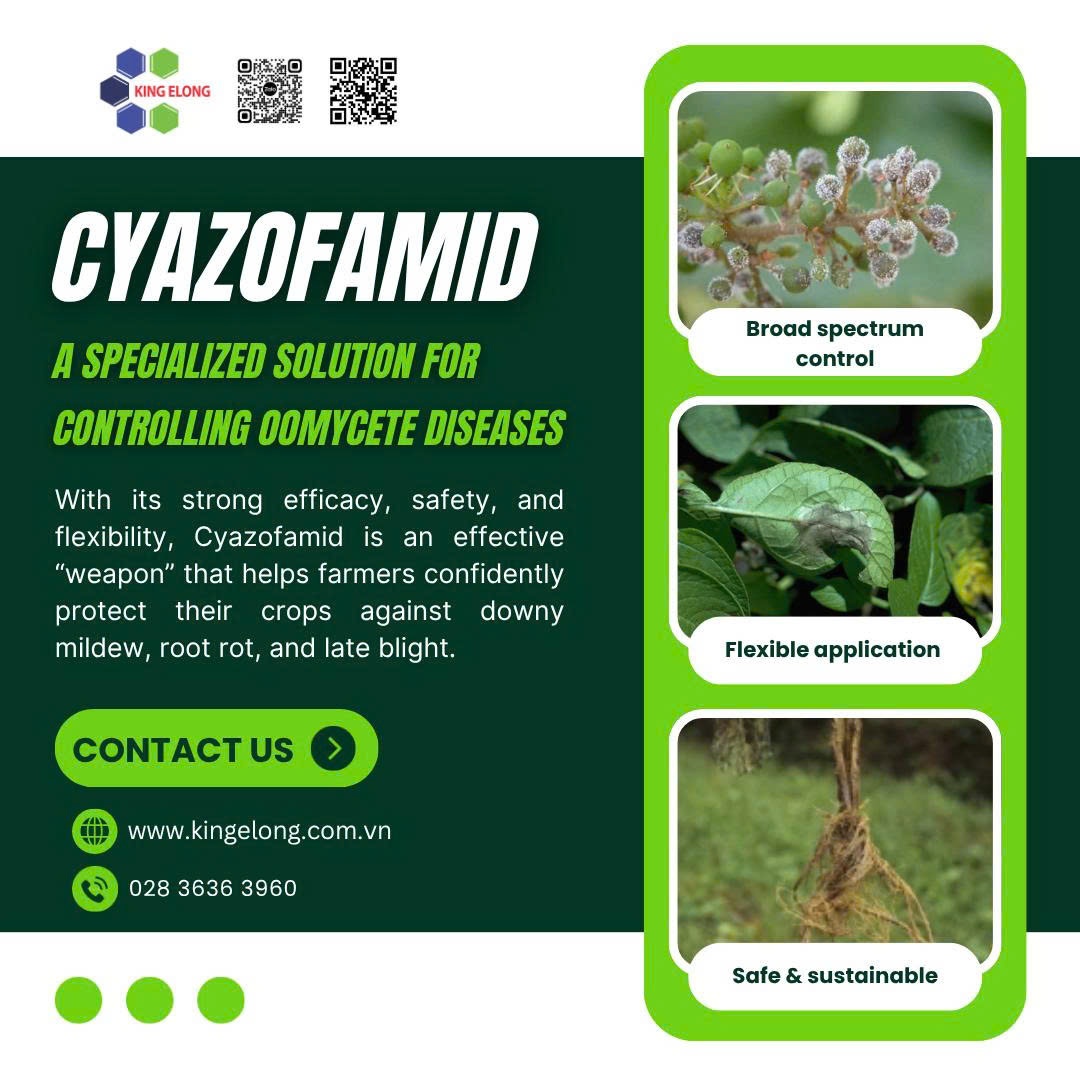 Cyazofamid – A Specialized Solution For Controlling Oomycete Diseases ...