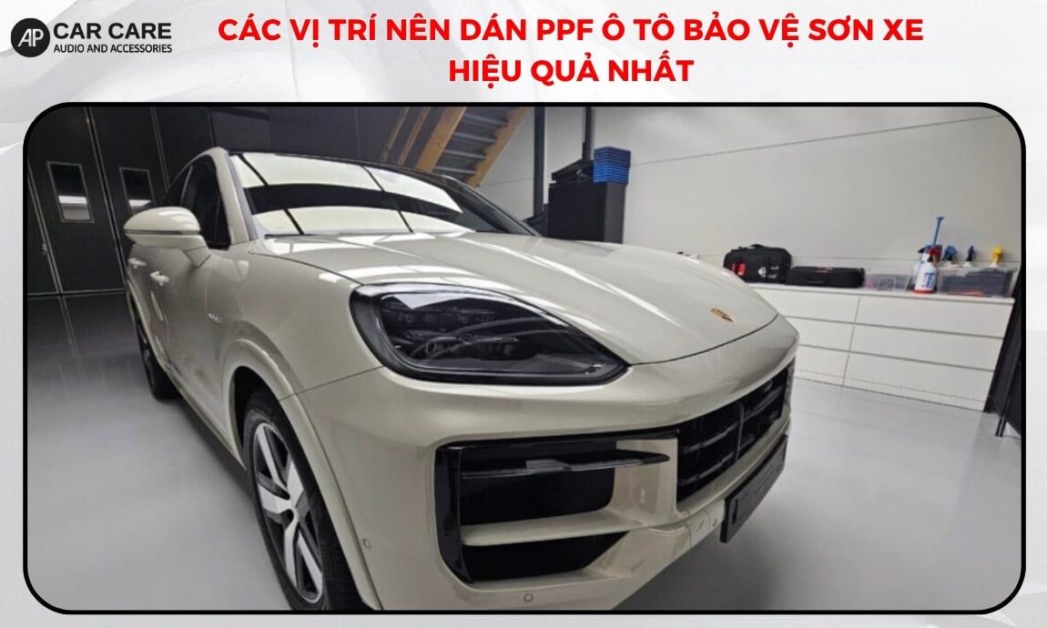 Các vị trí nên dán PPF ô tô bảo vệ sơn xe hiệu quả nhất