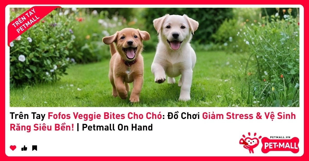 Trên Tay Fofos Veggie Bites Cho Chó: Đồ Chơi Giảm Stress & Vệ Sinh Răn ...