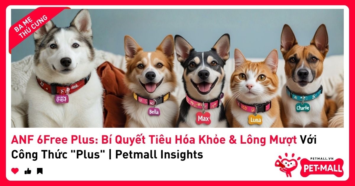 ANF 6Free Plus: Bí Quyết Tiêu Hóa Khỏe & Lông Mượt Với Công Thức "Plus ...