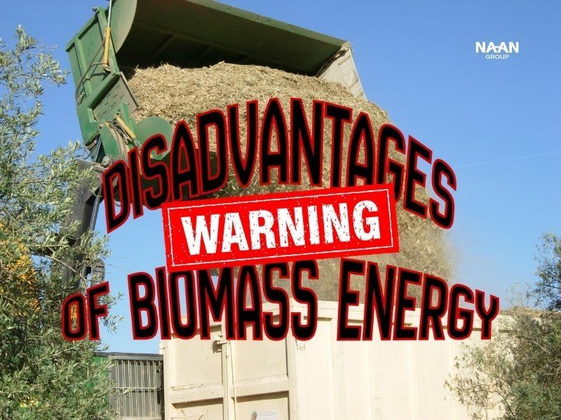 Disadvantages of Biomass Energy: 9 C-Suite Risks Now – HƯỚNG TỚI NET ZERO
