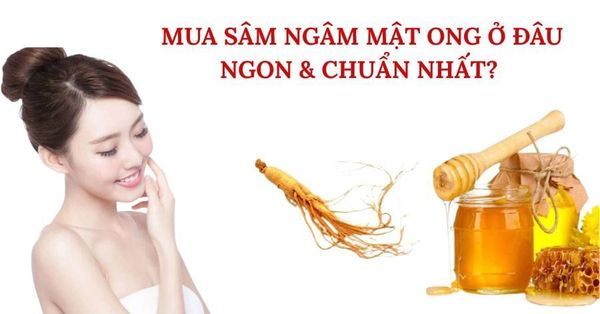 Mua Sâm Ngâm Mật Ong Ở Đâu Ngon &Chuẩn Nhất? 3Loại Được Ưa Chuộng Nhất
