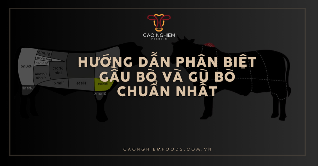 Hướng dẫn phân biệt gầu bò và gù bò chuẩn nhất – Cao Nghiêm Foods