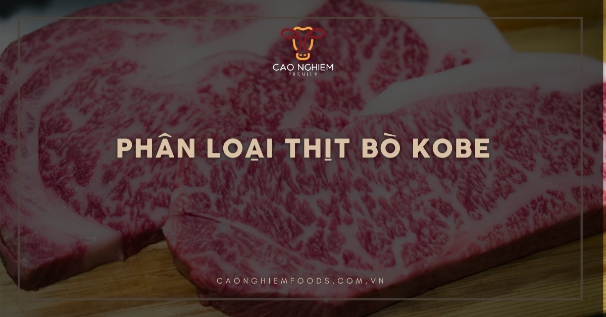 Phân loại thịt bò Kobe: Hướng dẫn chi tiết từ A1 đến A5 – Cao Nghiêm Foods