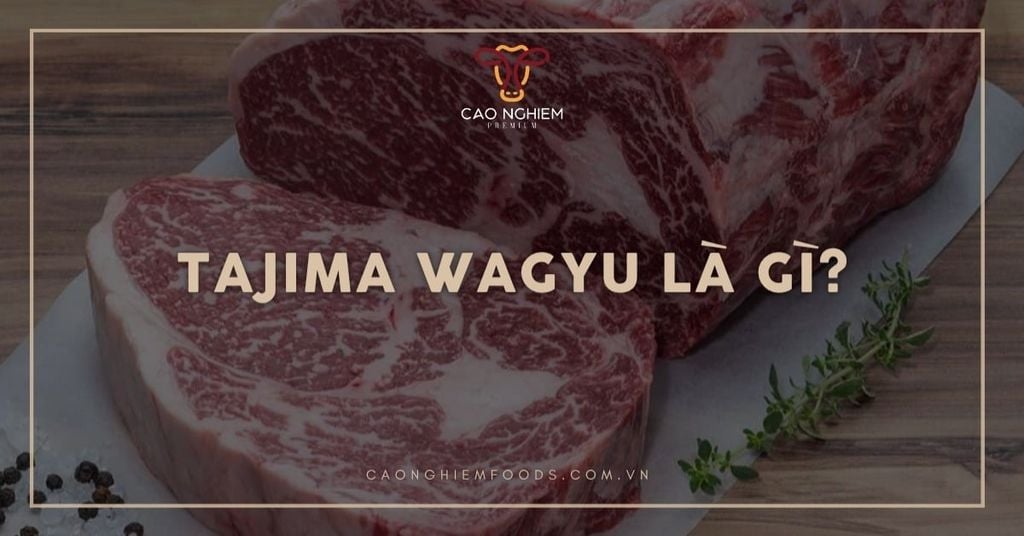Tajima Wagyu là gì? Nguồn gốc của bò Wagyu trứ danh – Cao Nghiêm Foods