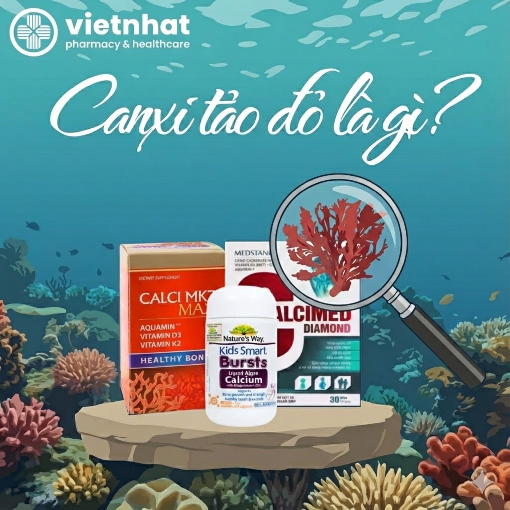 Canxi tảo đỏ là gì? Top 3 canxi tảo đỏ uy tín trên thị trường