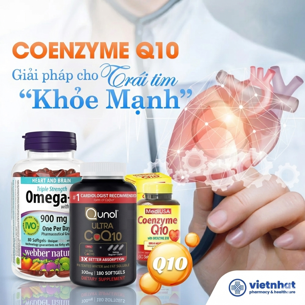 Coenzyme Q10 (CoQ10) Có Những Loại Nào? Top 5 viên uống bổ sung CoQ10