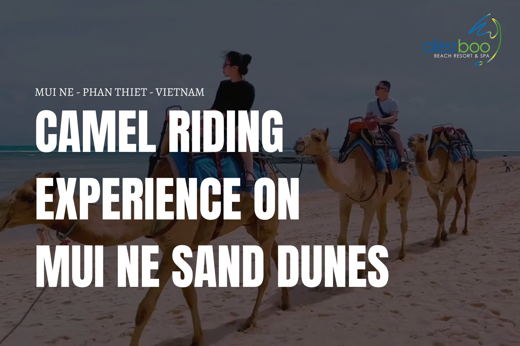 Camel Riding Experience on Mui Ne Sand Dunes – AllezBoo Beach Resort & Spa