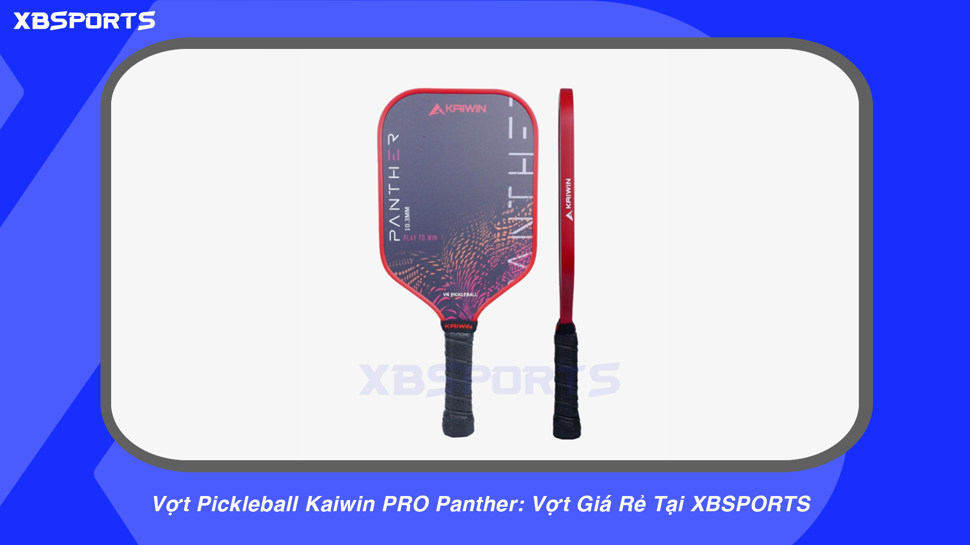 Vợt Pickleball Kaiwin PRO Panther: Vợt Giá Rẻ Tại XBSPORTS - XBSPORTS ...