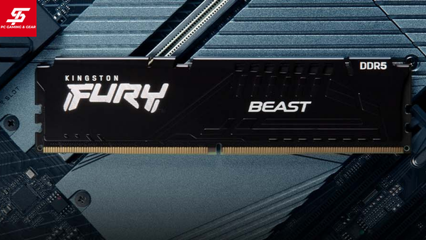 Ram DDR5 cho PC, laptop chính hãng, hiệu năng cao – Sintech