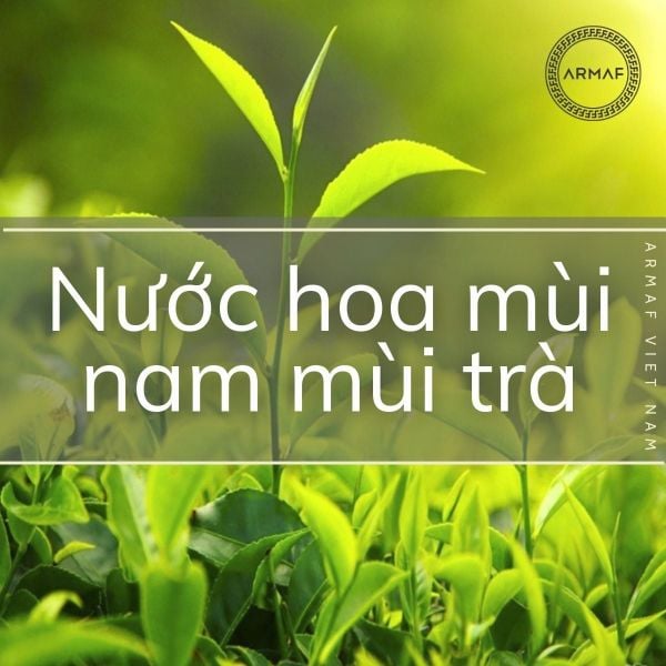 TOP 6 nước hoa mùi nam mùi trà THANH MÁT, ẤN TƯỢNG