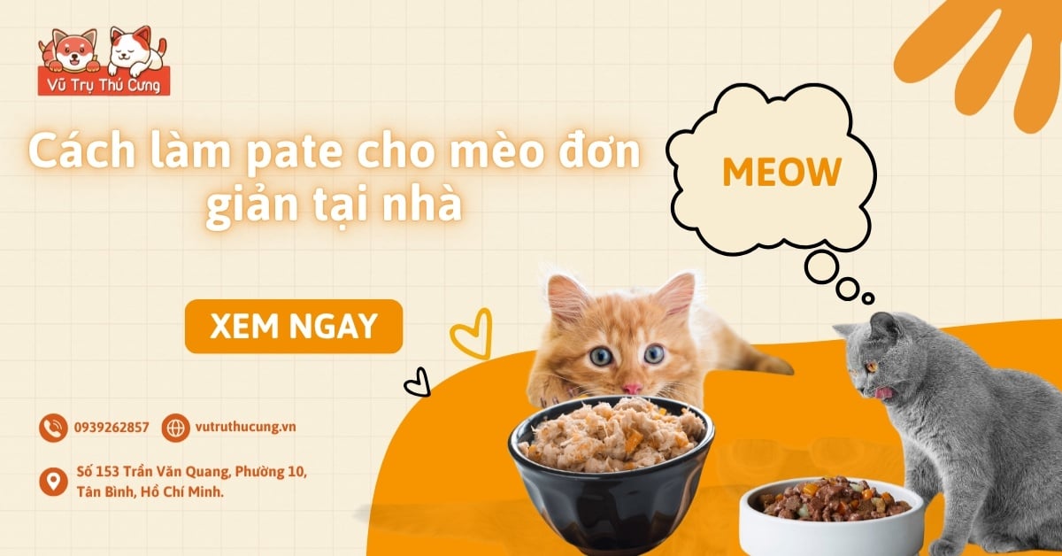 Cách làm pate cho mèo đơn giản tại nhà – Vũ Trụ Thú Cưng