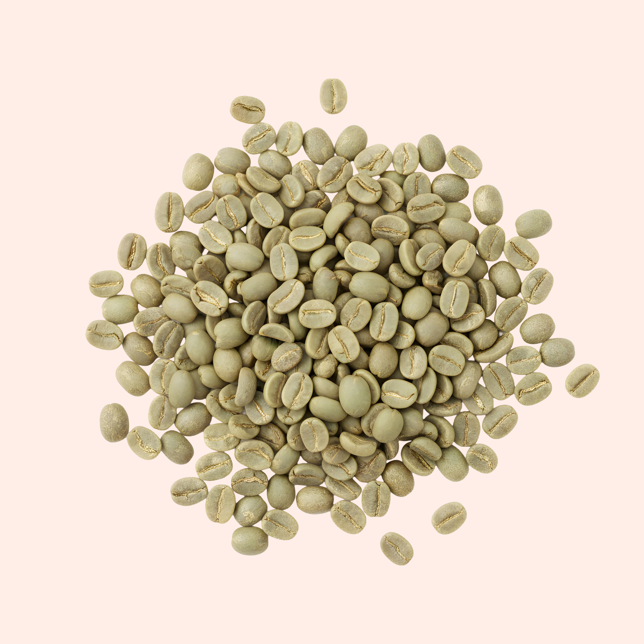 Hạt cà phê Anaerobic by Ri Coffee – Song Uyên Tây Nguyên Farm