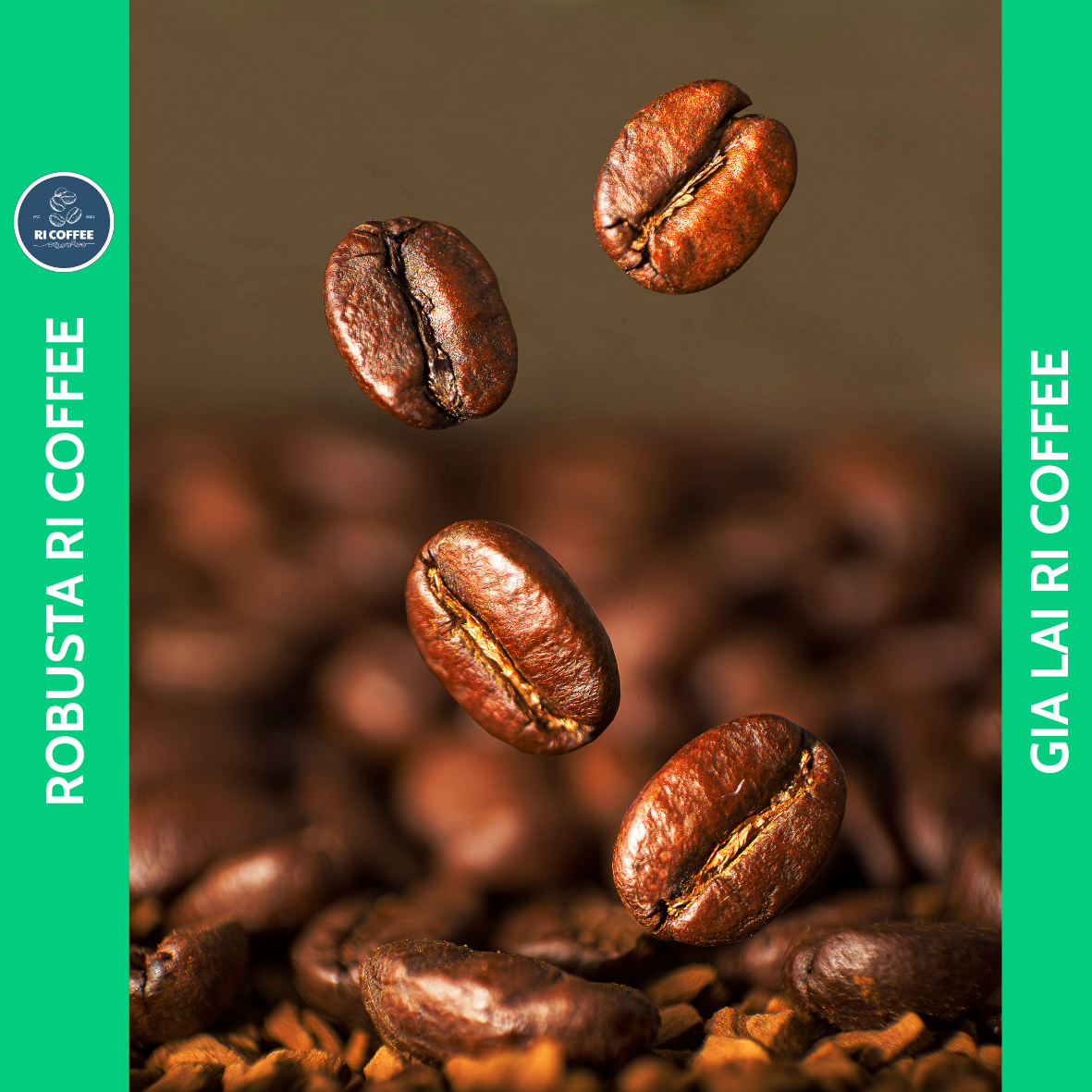 Hạt cà phê rang Dark Roast By [Robusta Ri Coffee] – Song Uyên Tây Nguyên
