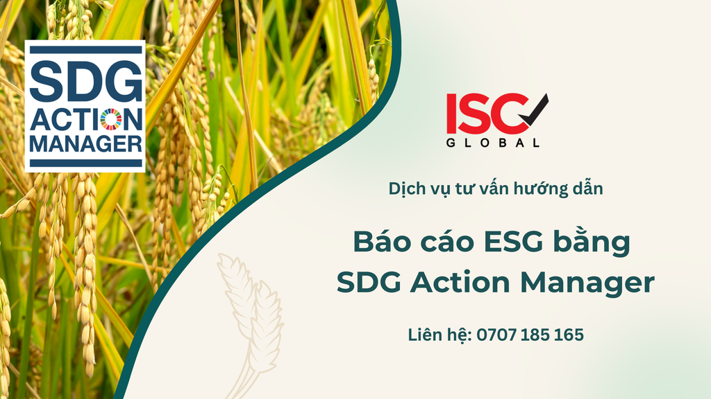 SDG Action Manager: Công Cụ Chẩn Đoán Chiến Lược Cho Hành Trình Phát T ...