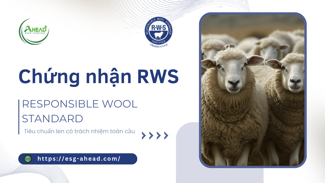 Bạn biết gì về tiêu chuẩn RWS - Responsible Wool Standard ? – Tư vấn ...