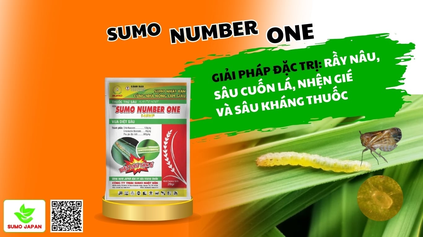 SUMO NUMBER ONE – GIẢI PHÁP TỐI ƯU TRONG PHÒNG TRỪ SÂU KHÁNG THUỐC ...