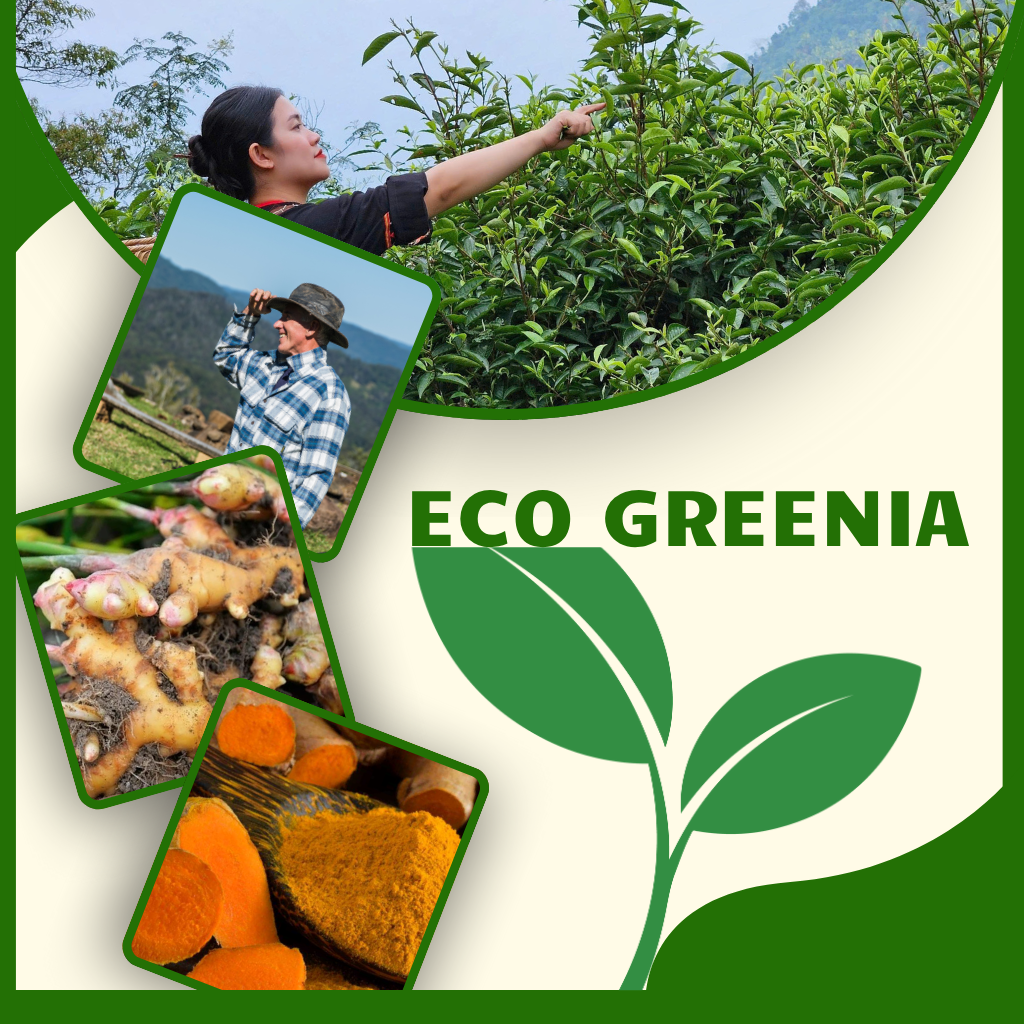 3- Nông nghiệp tái tạo: Hướng đi bền vững của Eco Greenia – Ecogreenia