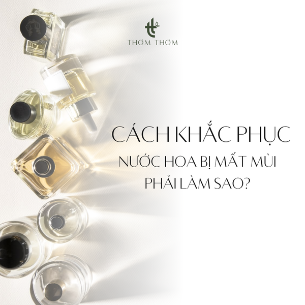 Nước hoa bị mất mùi phải làm sao? Cách khắc phục