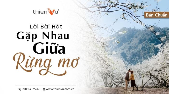 Lời Bài Hát Gặp Nhau Giữa Rừng Mơ