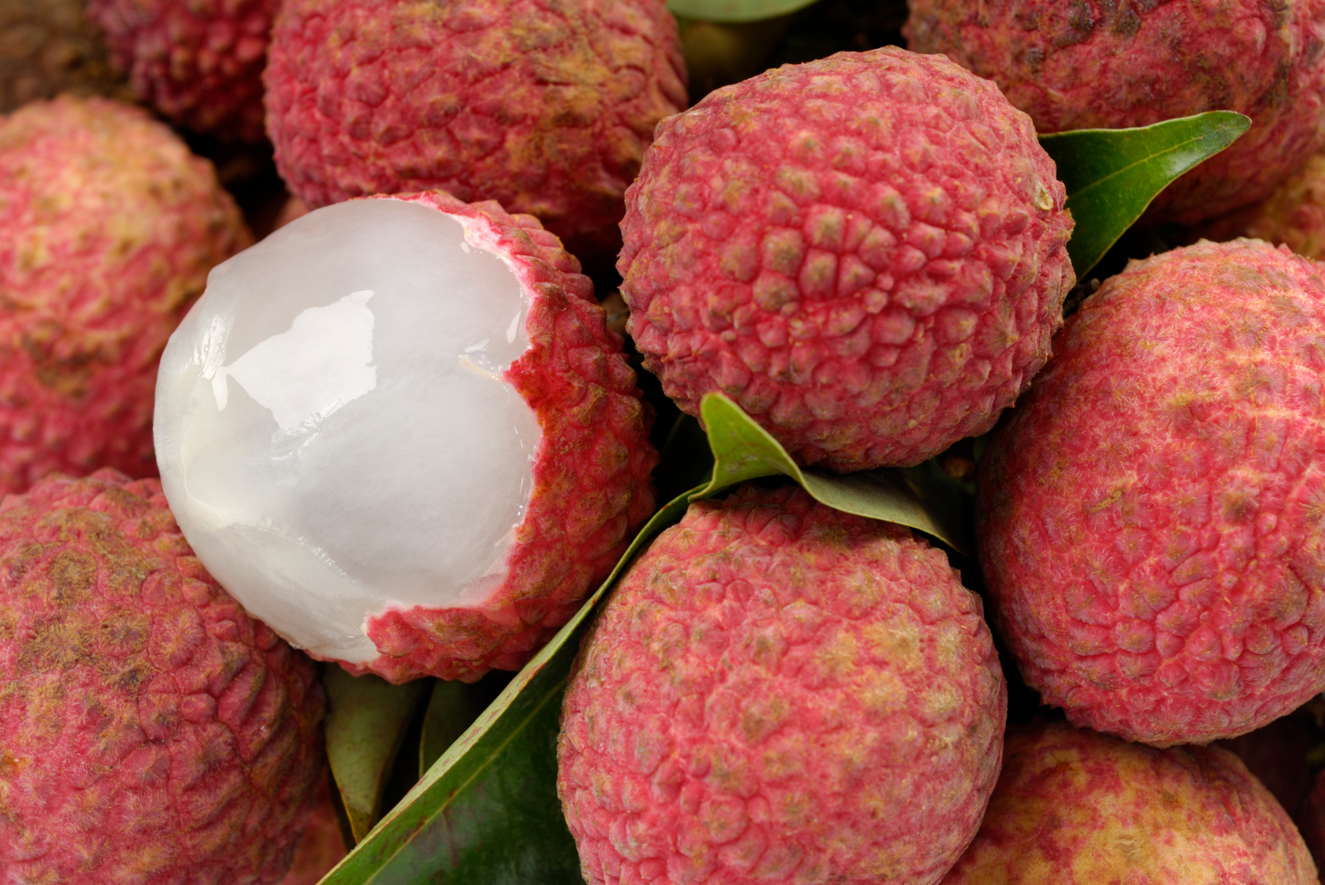 Fresh Vietnamese lychee shipment successfully exported to the US – Toàn ...