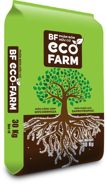 Bao BF Eco Farm 30kg PHC - BEEF01 – TOBA