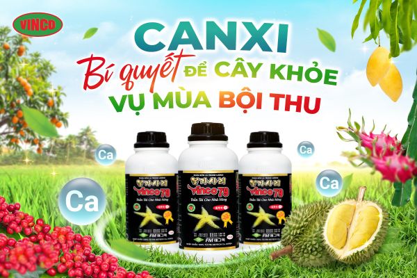 Vinco 79 - Phân bón hữu cơ sinh học - Giúp tăng năng suất vượt trội ...