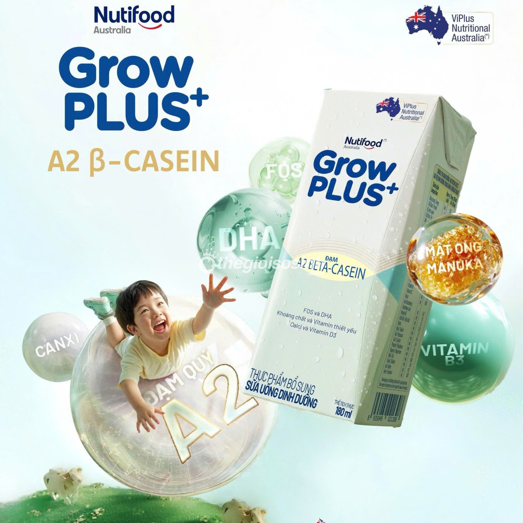 Sữa bột pha sẵn GrowPLUS A2 Beta-Casein 180ml | Dễ Tiêu Hóa, Tăng Cân ...