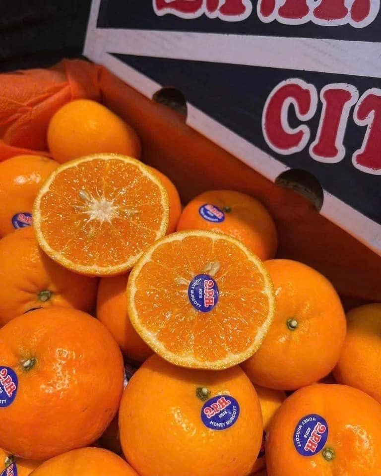 Quýt Úc Citrus Cao Cấp – Thùng 4.5kg – Siêu Thị Luxy