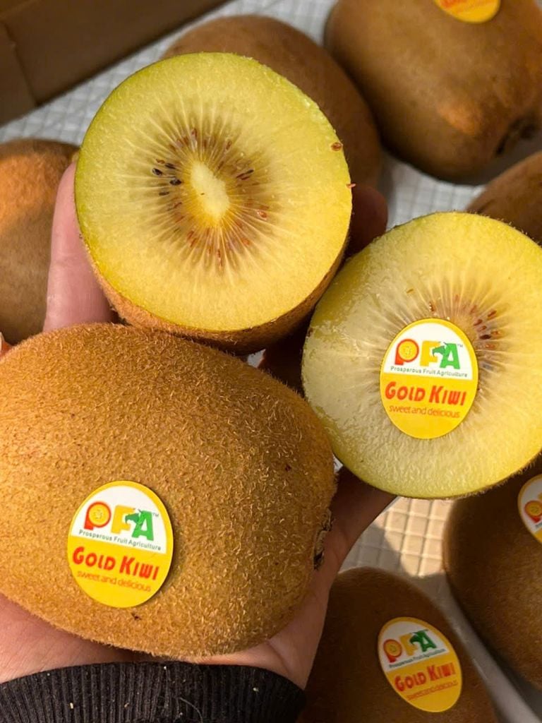 Kiwi Vàng Đài Loan Cao Cấp VC Strat - Hộp 8 Trái – Siêu Thị Luxy