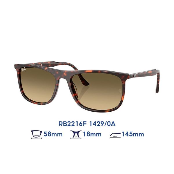 Kính mát RAY-BAN RB2216F 1429/0A – Đỏ đồi mồi phong cách unisex – LienSon