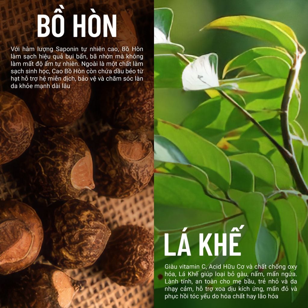 Kem Ủ Xả Lá Khế Bồ Hòn Suôn Mượt, Chắc Khỏe, Bồng Bềnh Heebee Việt Nam ...