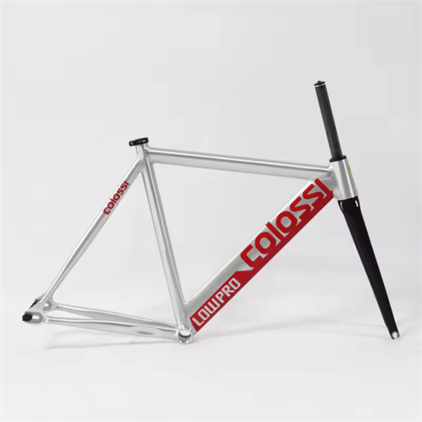 Khung Fixed Gear COLOSSI Lowpro có càng carbon F1 – Hanoibike shop