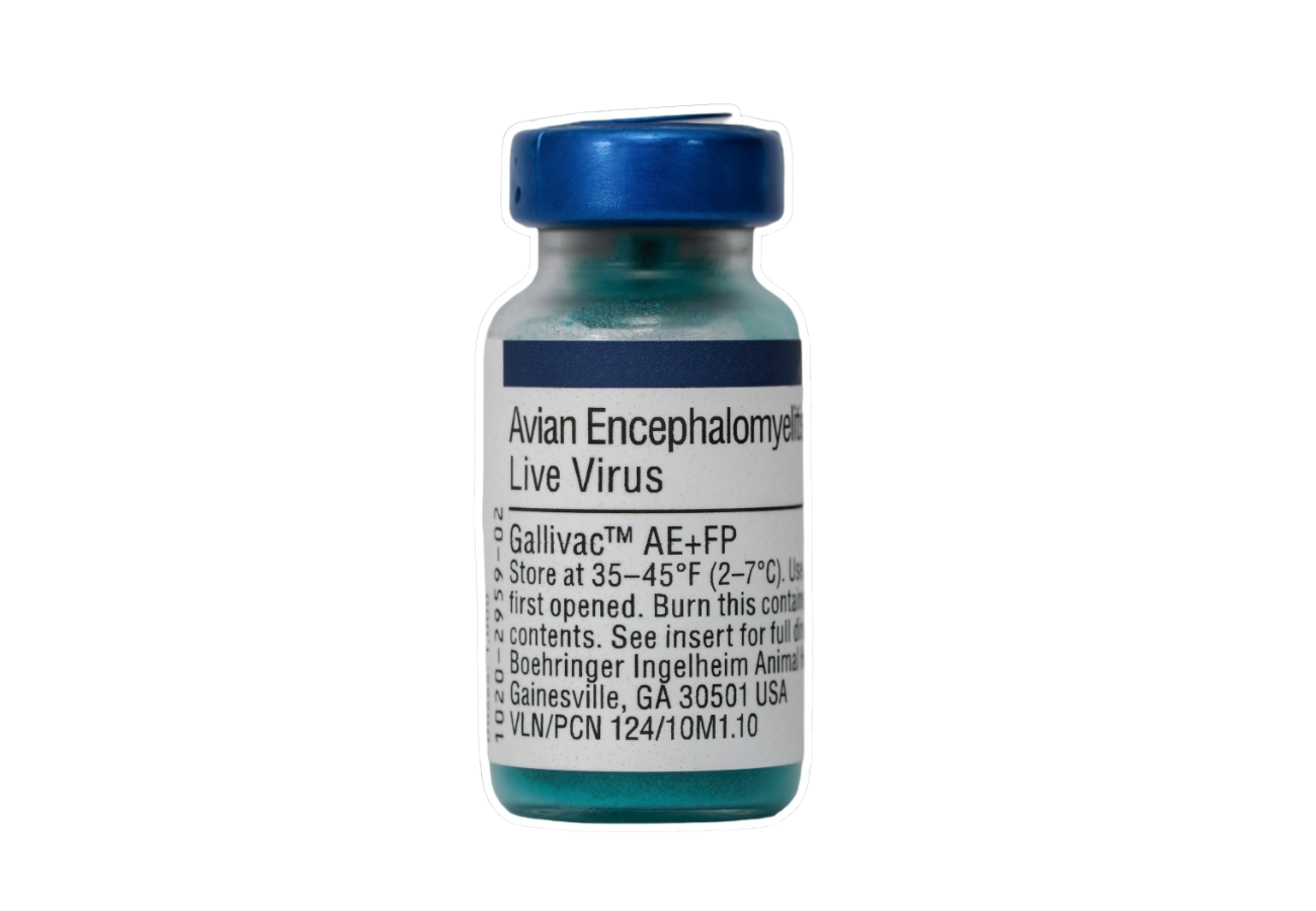 GALLIVAC™ AE+FP – OLMIX ASIALAND