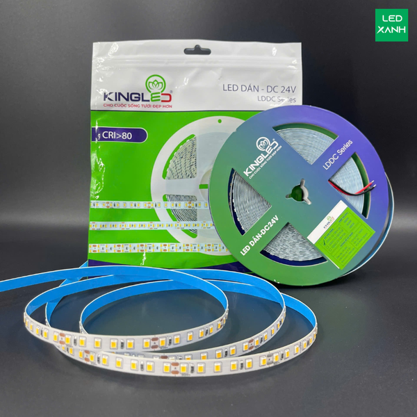 Đèn LED dây dán DC24V-Cuộn 5m - KingLED