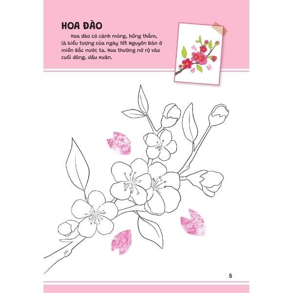 Yêu Qua Việt Nam - Các Loài Hoa | nhanvan.vn – Siêu Thị Sách & Tiện Ích ...
